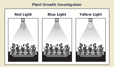 Grade 5 Science - 2011 Released Test